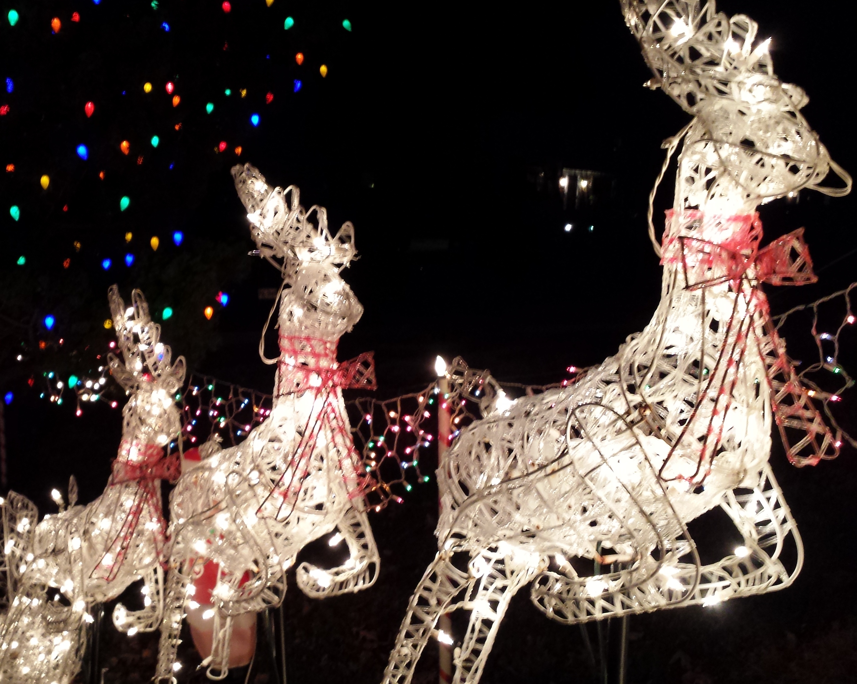 Leaders, Keep Your Sense of Wonder – Leading in Context