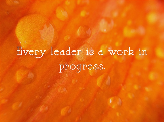 Every Leader is a “Work in Progress” (Yes, Even You) – Leading in Context