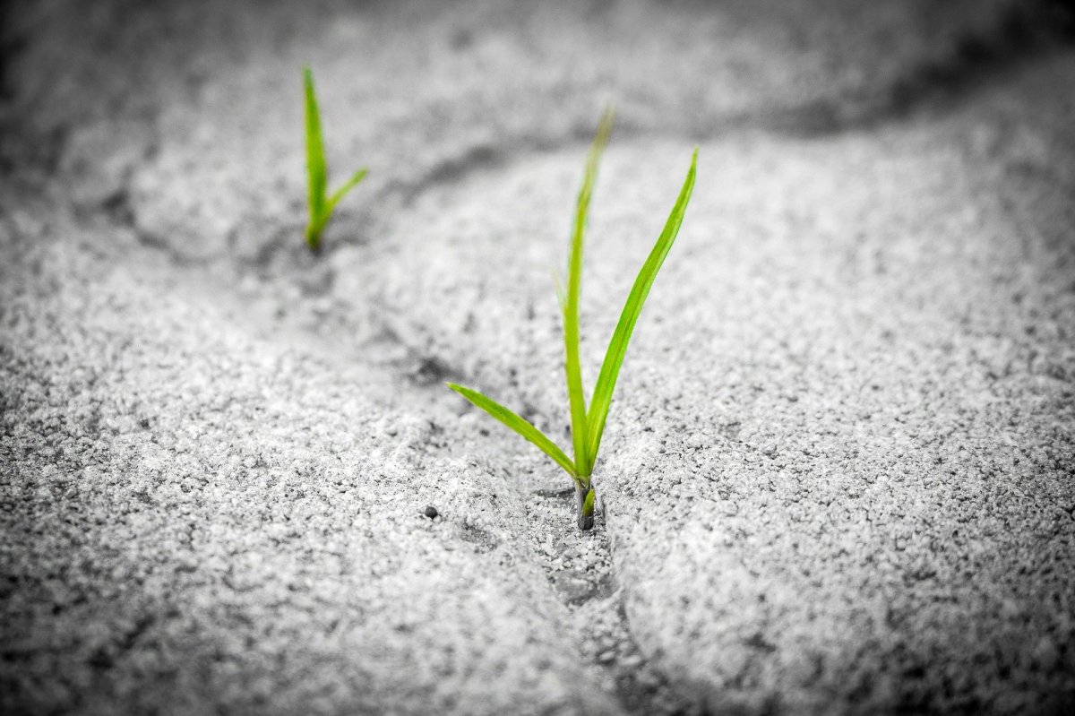 10 Quotes To Inspire Leaders in Divisive Times – Leading in Context