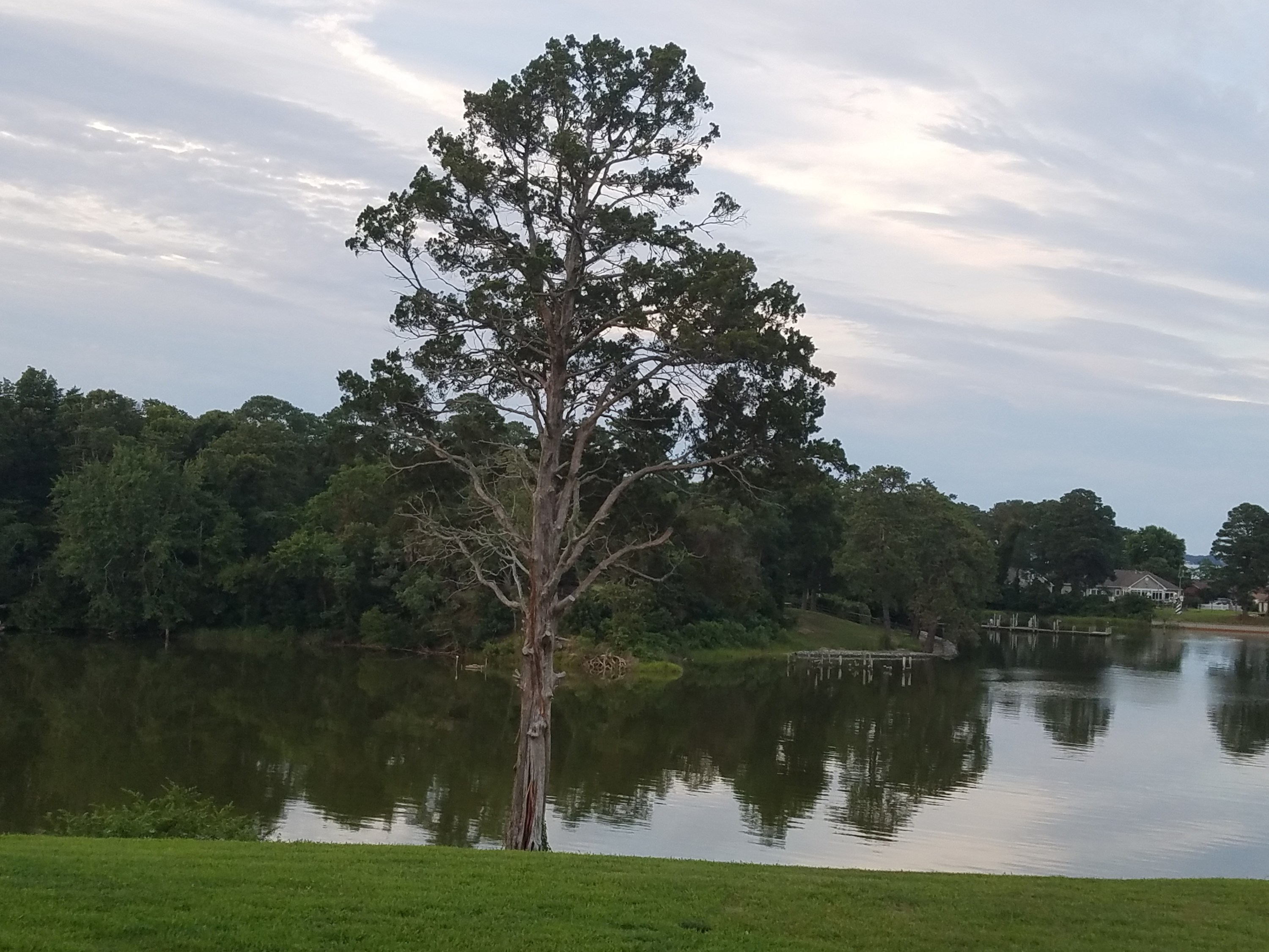 5 Phrases to Watch For: Ignoring Ethical Boundaries – Leading in Context